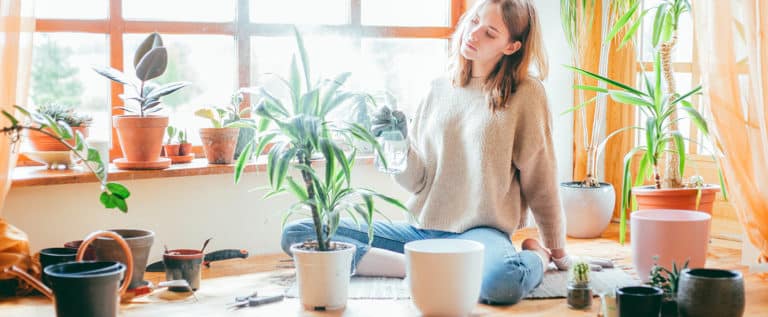 easy peasy beginner plants - The Plant Project