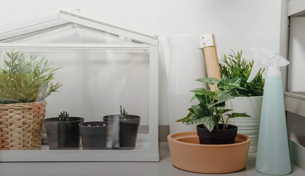indoor greenhouse: mini size. mega looks. - The Plant Project
