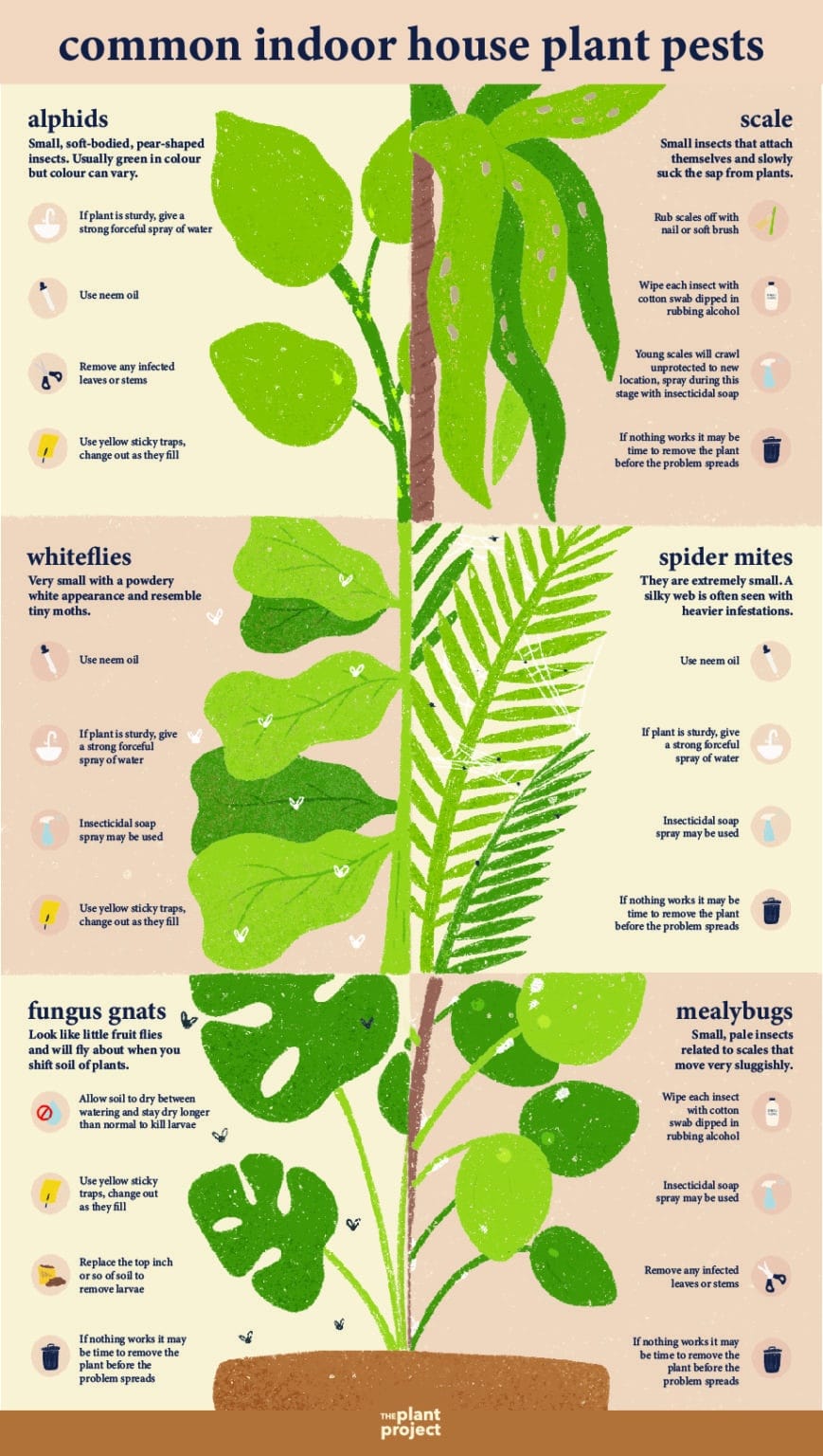 don’t bug our plants - pest control - The Plant Project