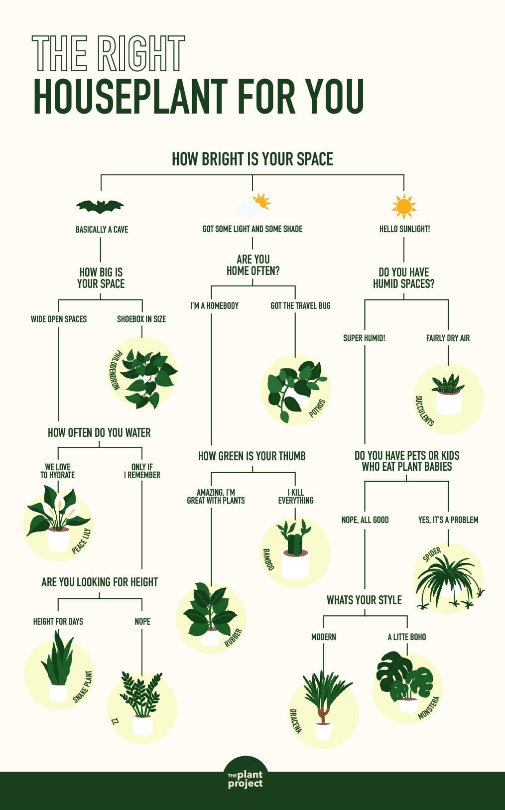 easy peasy beginner plants - The Plant Project