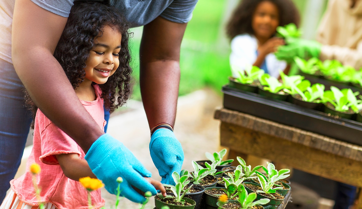 Outdoor Plants 101 - The Plant Project