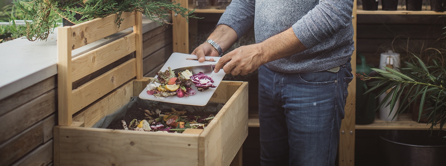 compost basics - The Plant Project