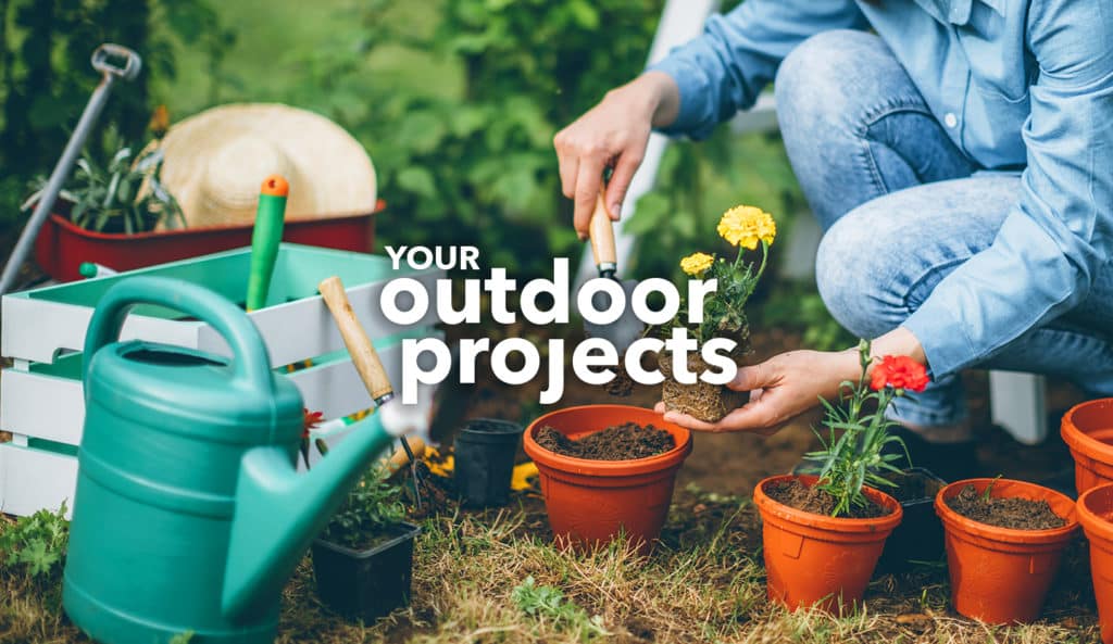 Outdoor Projects - The Plant Project