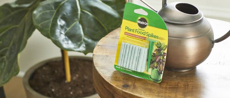 how to use food spikes - The Plant Project