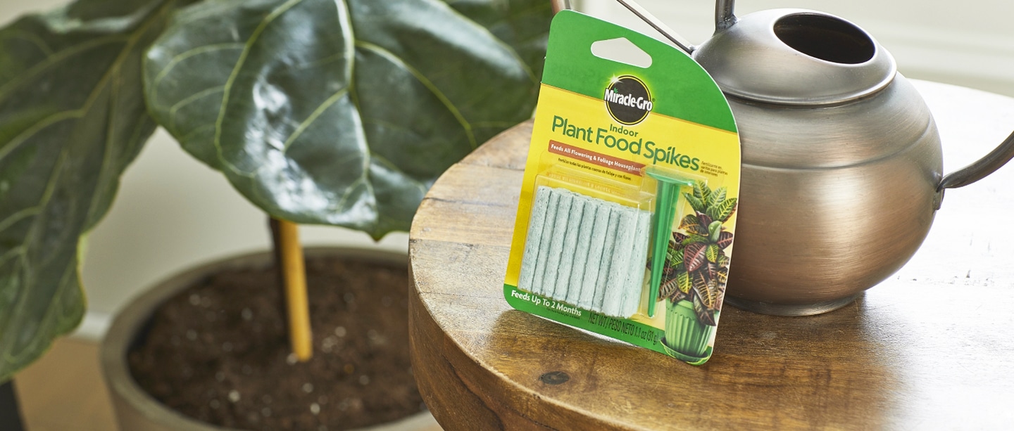 how to use food spikes - The Plant Project