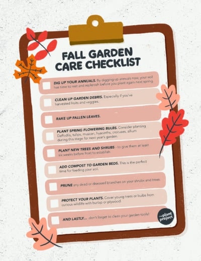 fall garden care checklist - The Plant Project