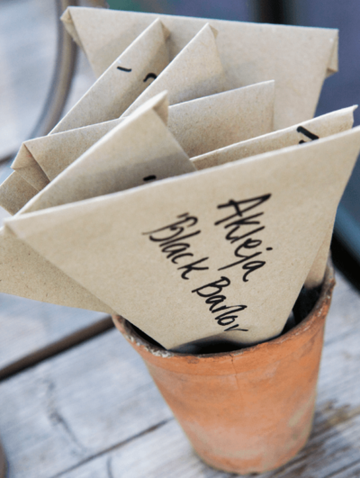 how to start a seed library - The Plant Project