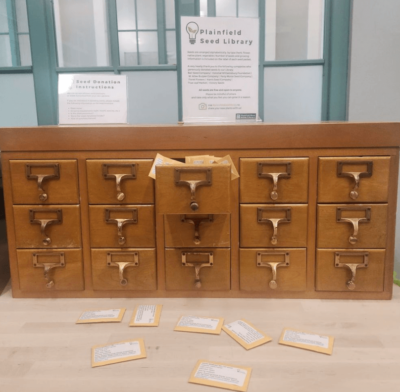 how to start a seed library - The Plant Project