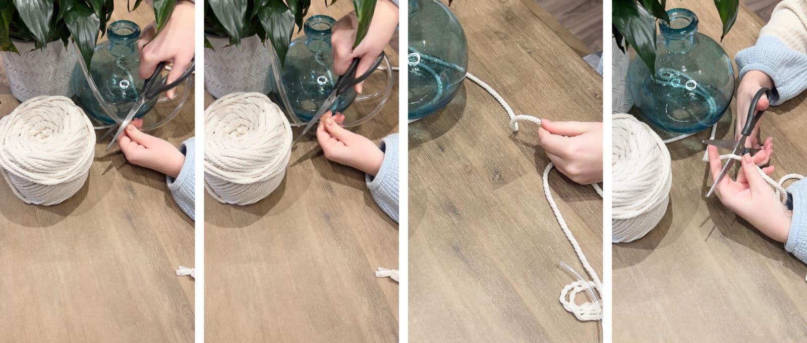 Plant Straw - How to - The Plant Project