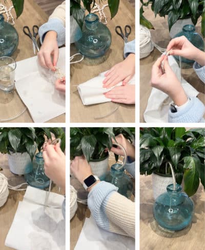 Plant Straw - How to - The Plant Project