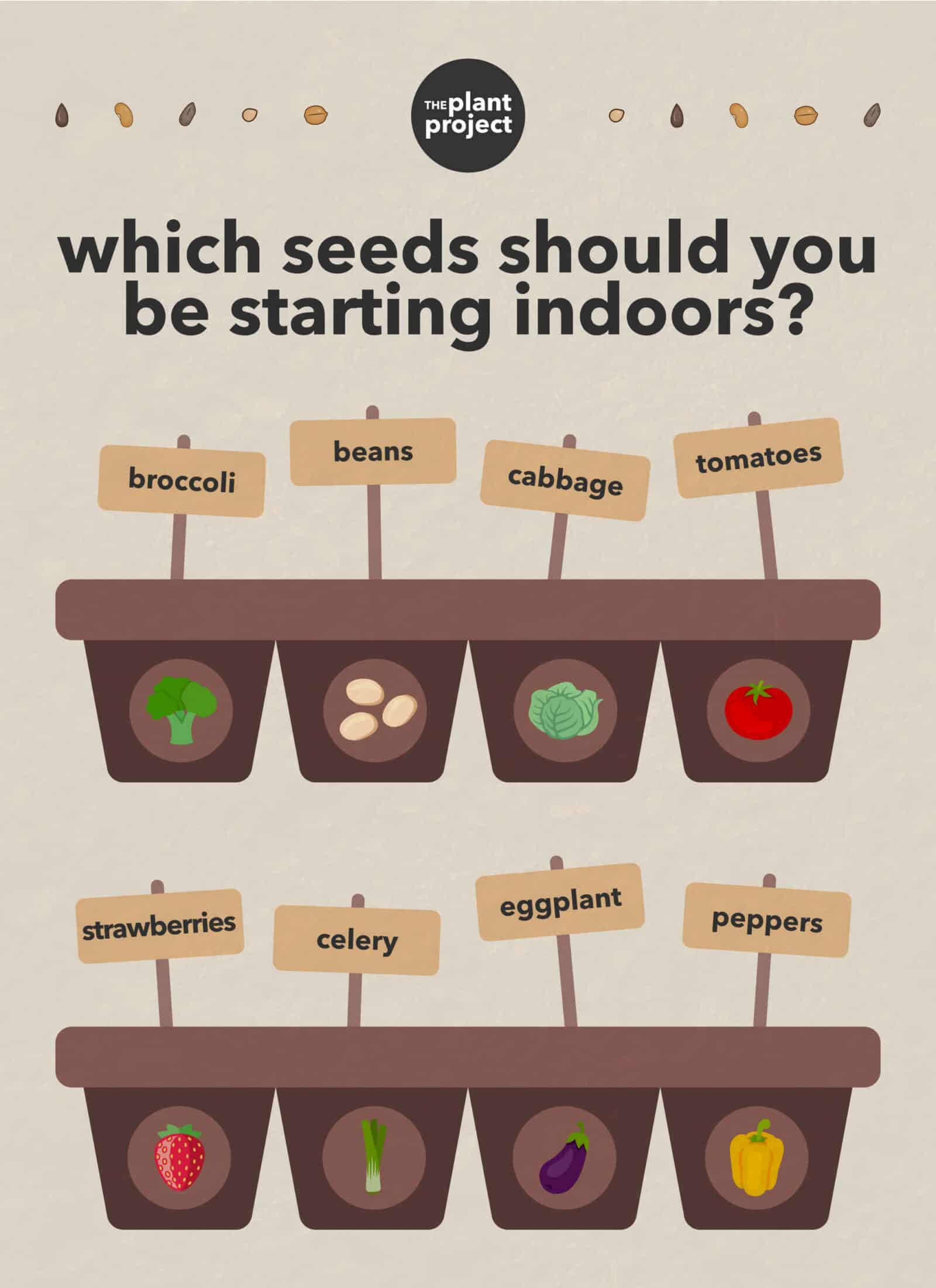 starting your seeds in springtime? here’s what you need to know - The ...