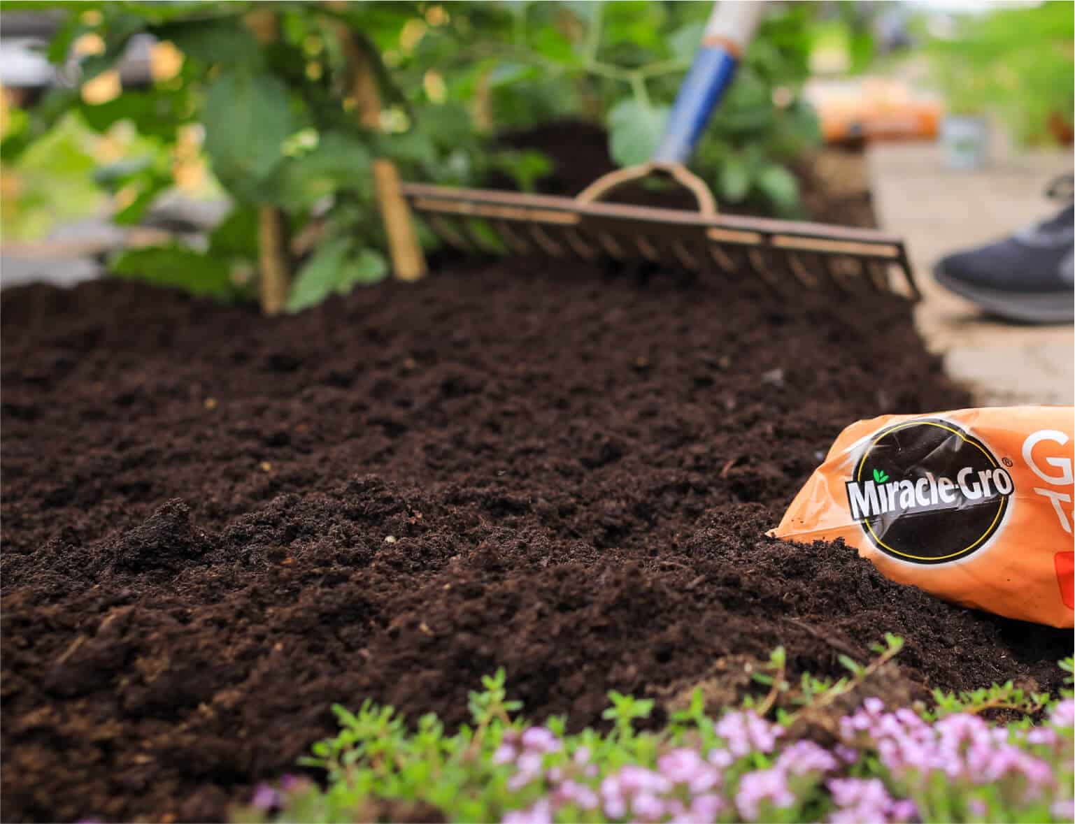 starting your seeds in springtime? here’s what you need to know - The ...