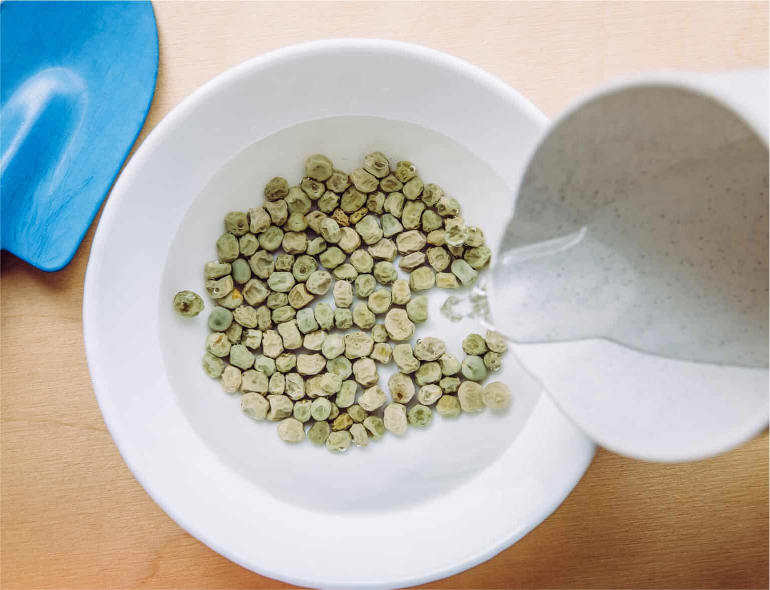 starting your seeds in springtime? here’s what you need to know - The ...