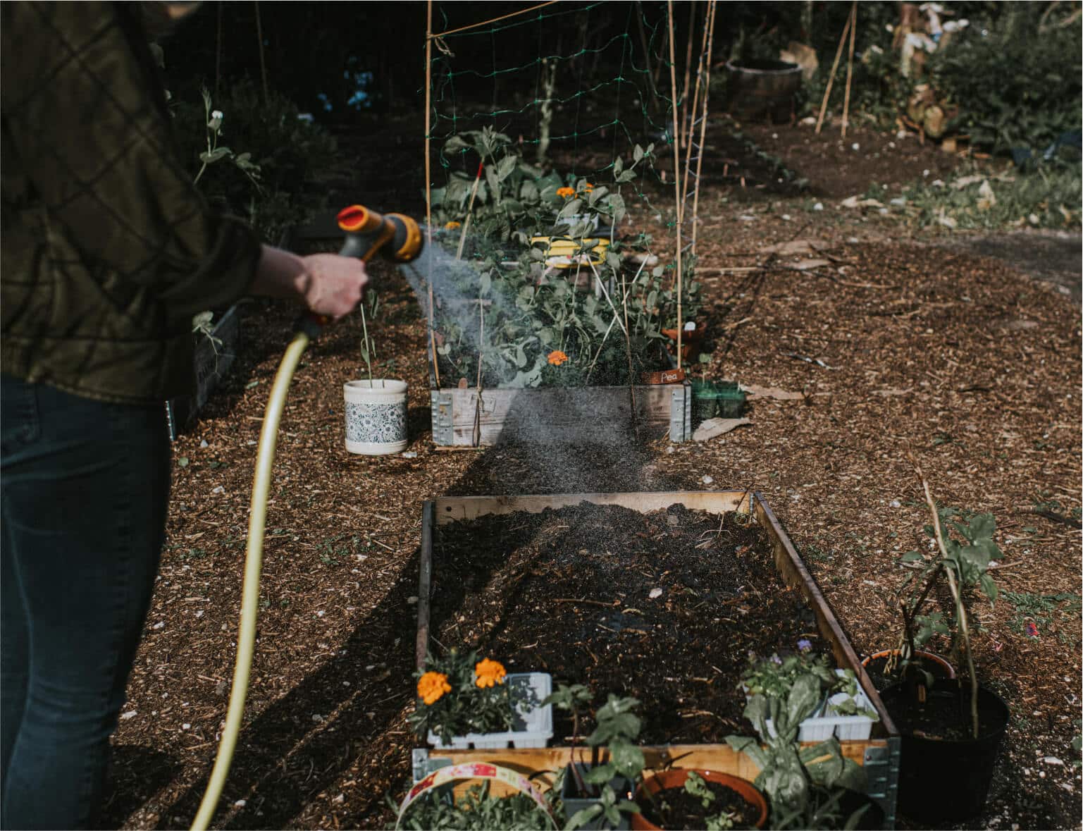 starting your seeds in springtime? here’s what you need to know - The ...