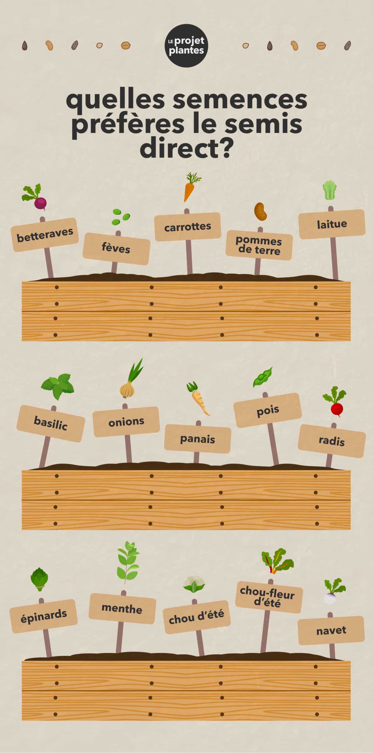 vous démarrez vos semis au printemps? voici ce qu'il faut savoir - The ...
