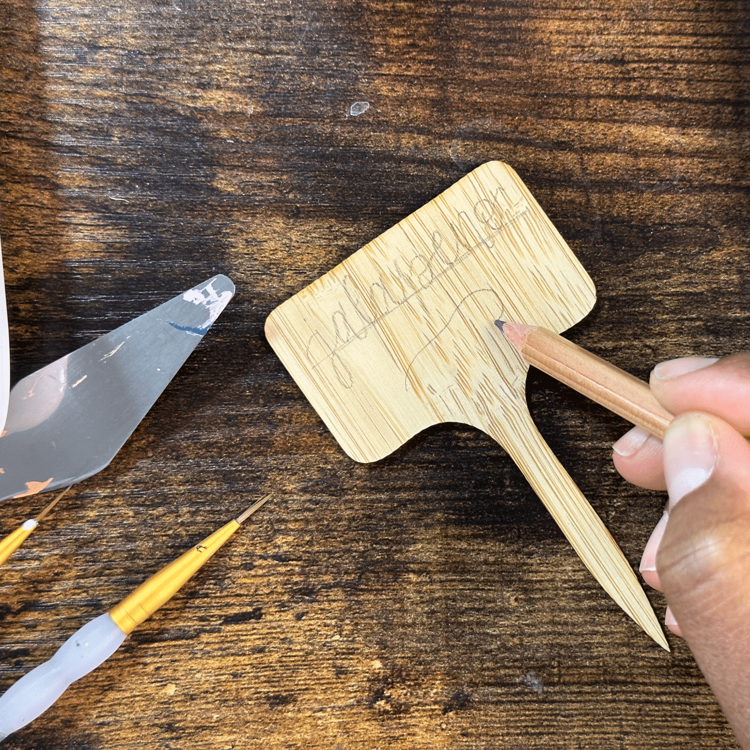 illustrated veggie garden labels - The Plant Project