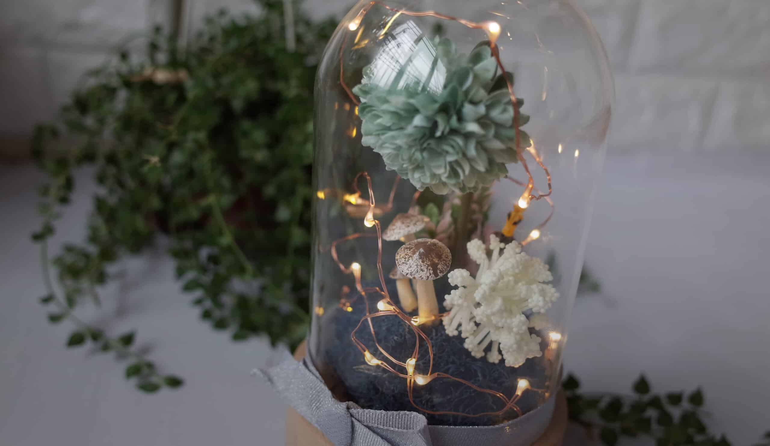 build a dreamy terrarium lamp - in 5 simple steps! - The Plant Project