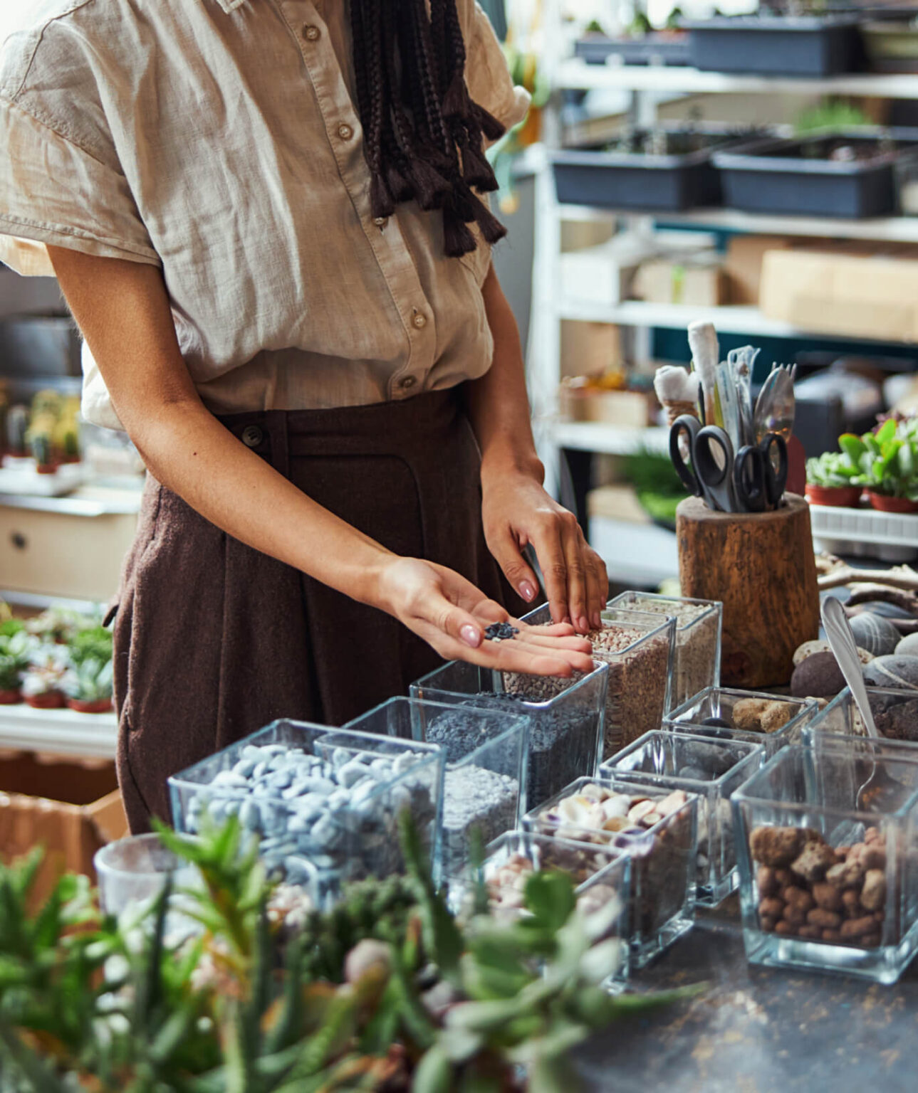 build a dreamy terrarium lamp - in 5 simple steps! - The Plant Project