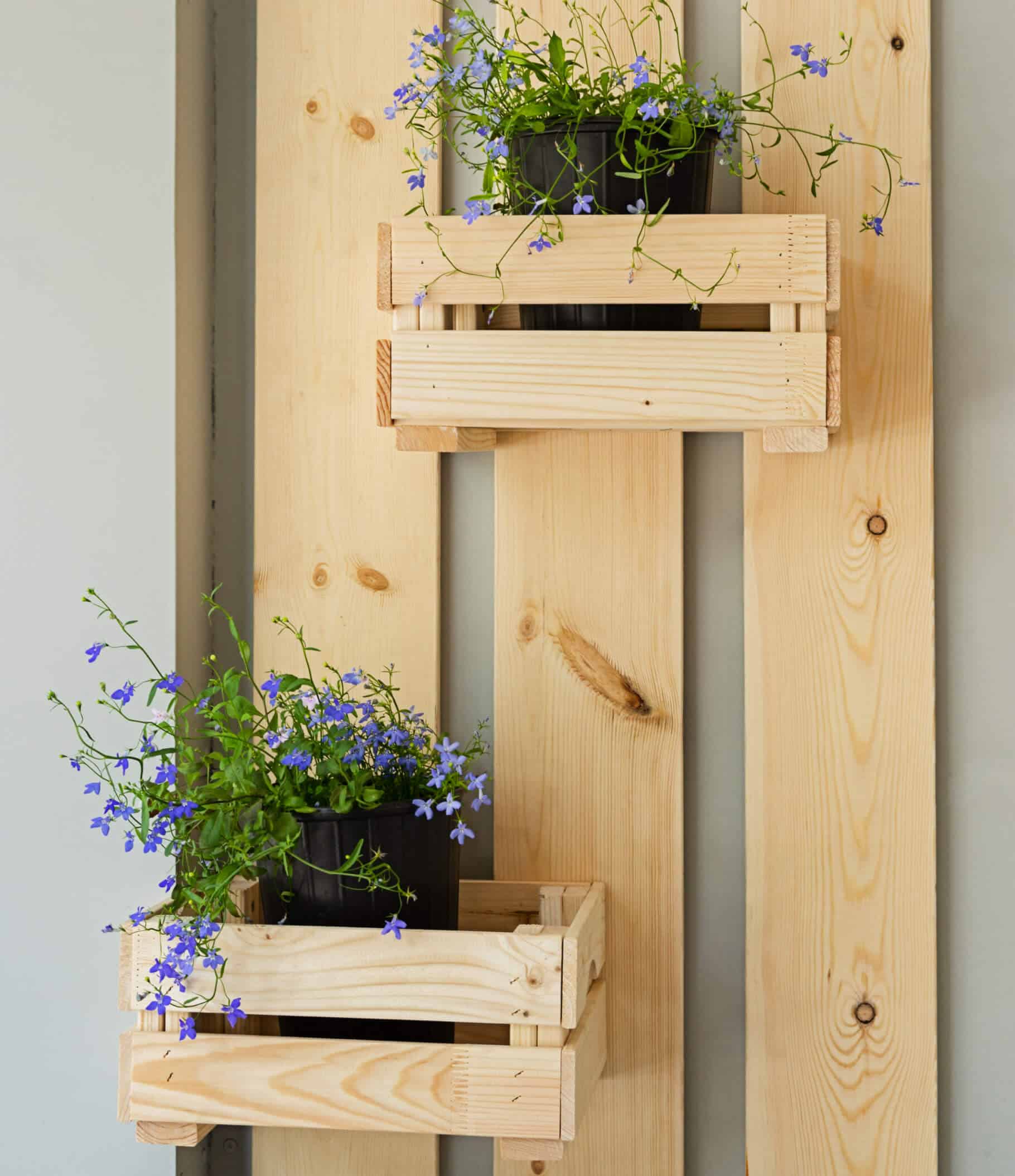 DIY outdoor vertical garden - The Plant Project
