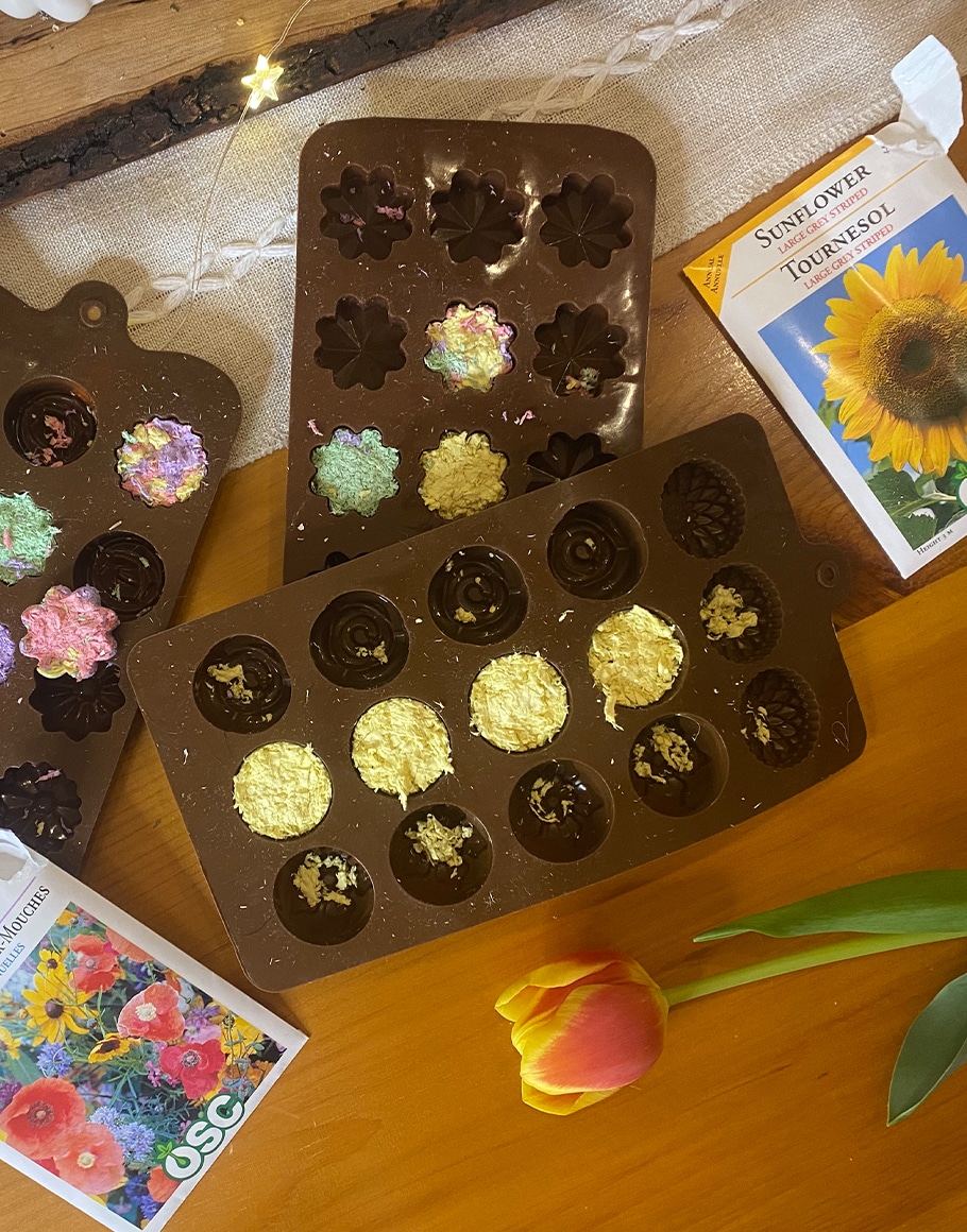 craft your own seed bombs for a blooming gift - The Plant Project